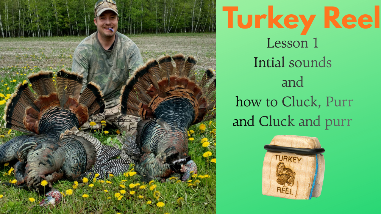 Initial sounds and Cluck and Purr w Turkey Reel-Lesson 1 – Reel Game Calls