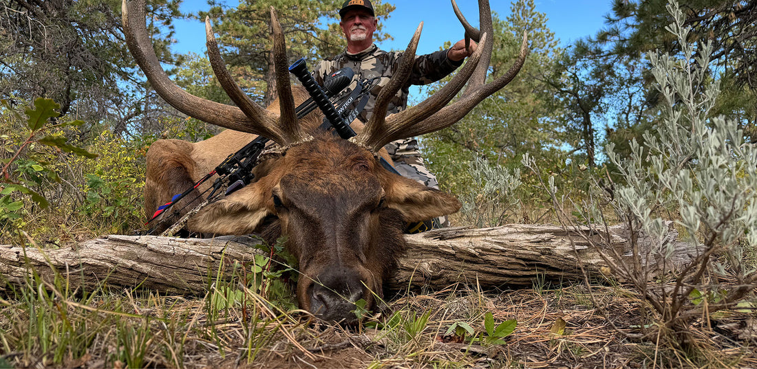 Best Sounding Turkey Call? What is it? – Reel Game Calls